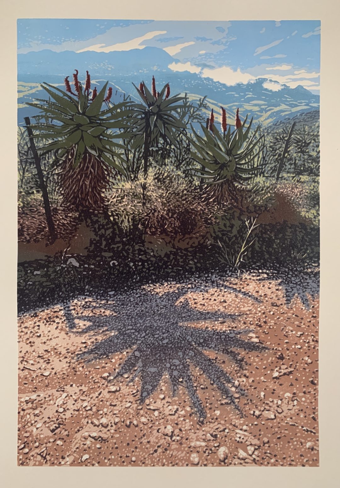 Landscapes SA | Joshua Miles