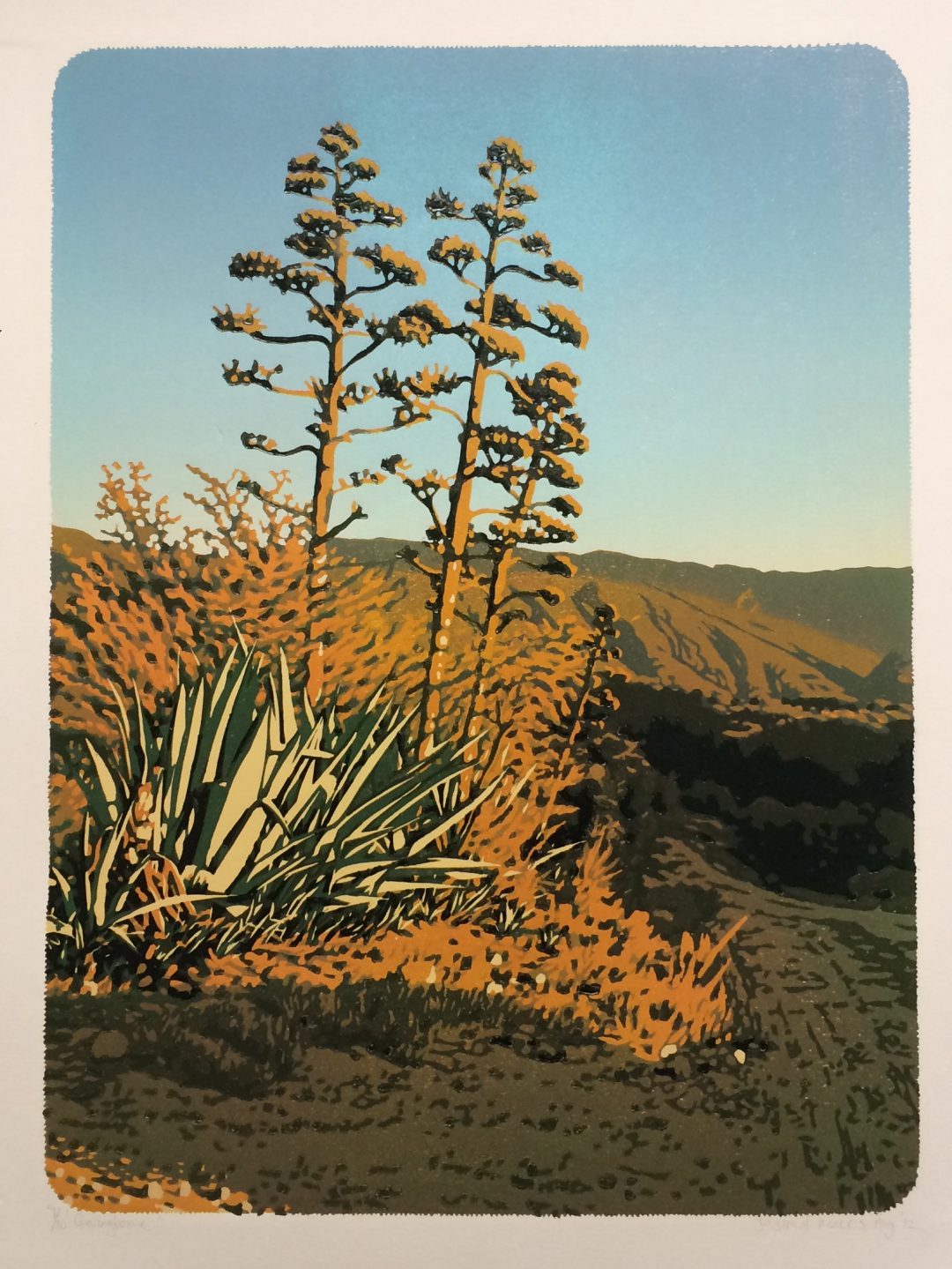 Landscapes | Joshua Miles