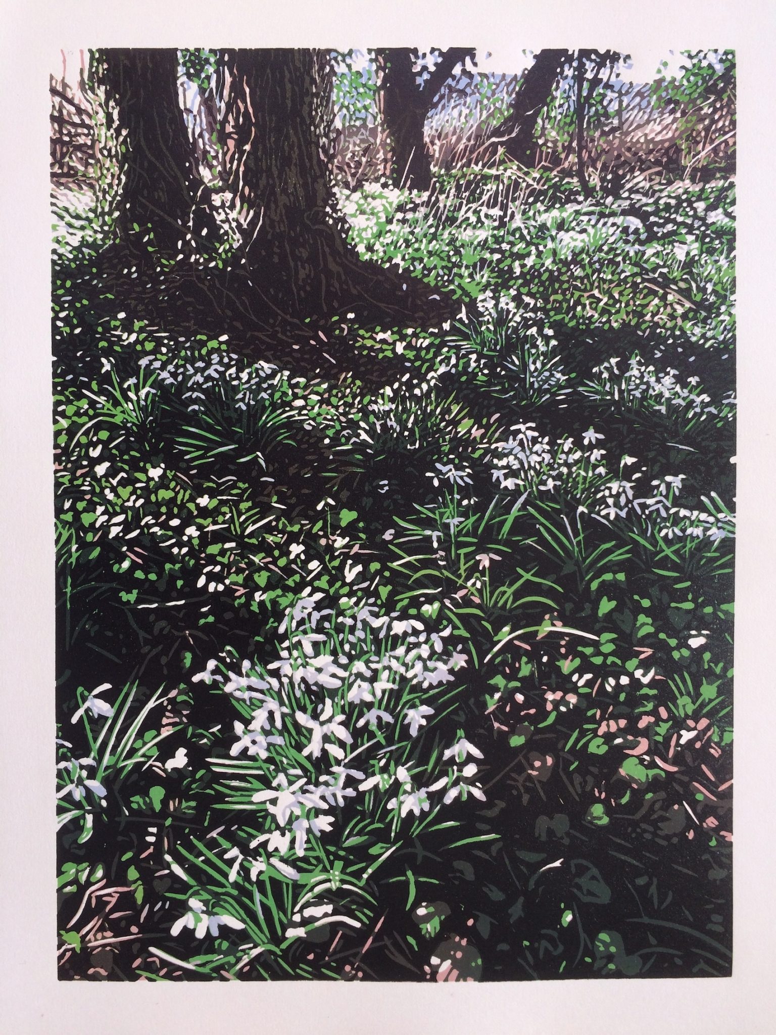 Landscapes Scotland | Joshua Miles
