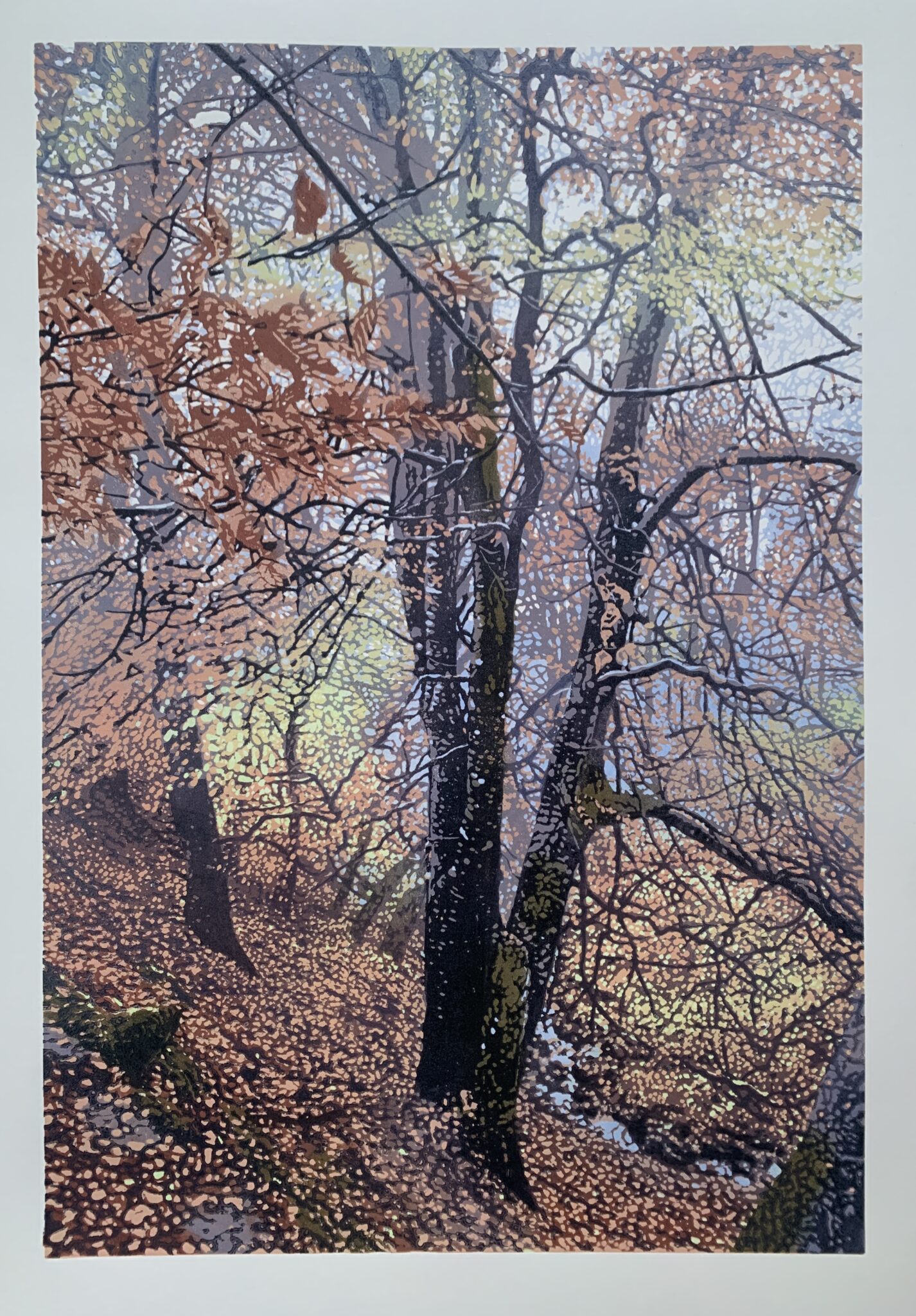 Landscapes Scotland | Joshua Miles