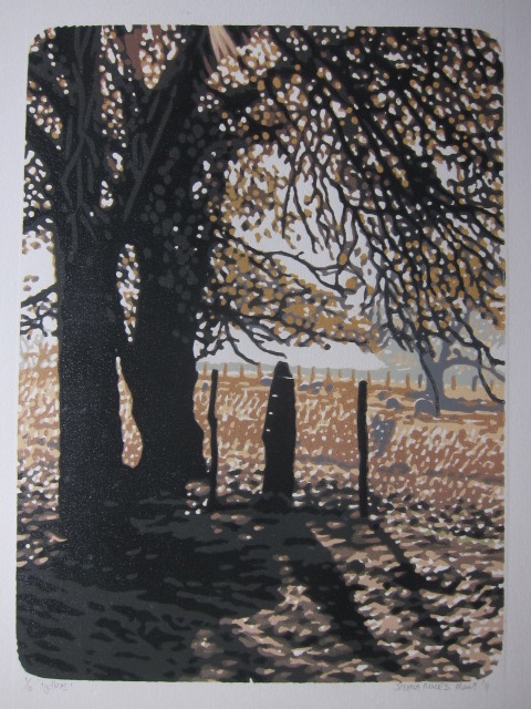 Landscapes SA | Joshua Miles